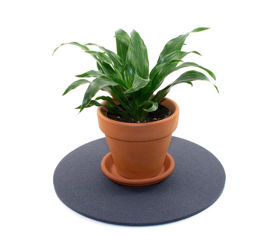 10 Inch Round Merino Wool Felt Trivet 5mm Thick - Etsy