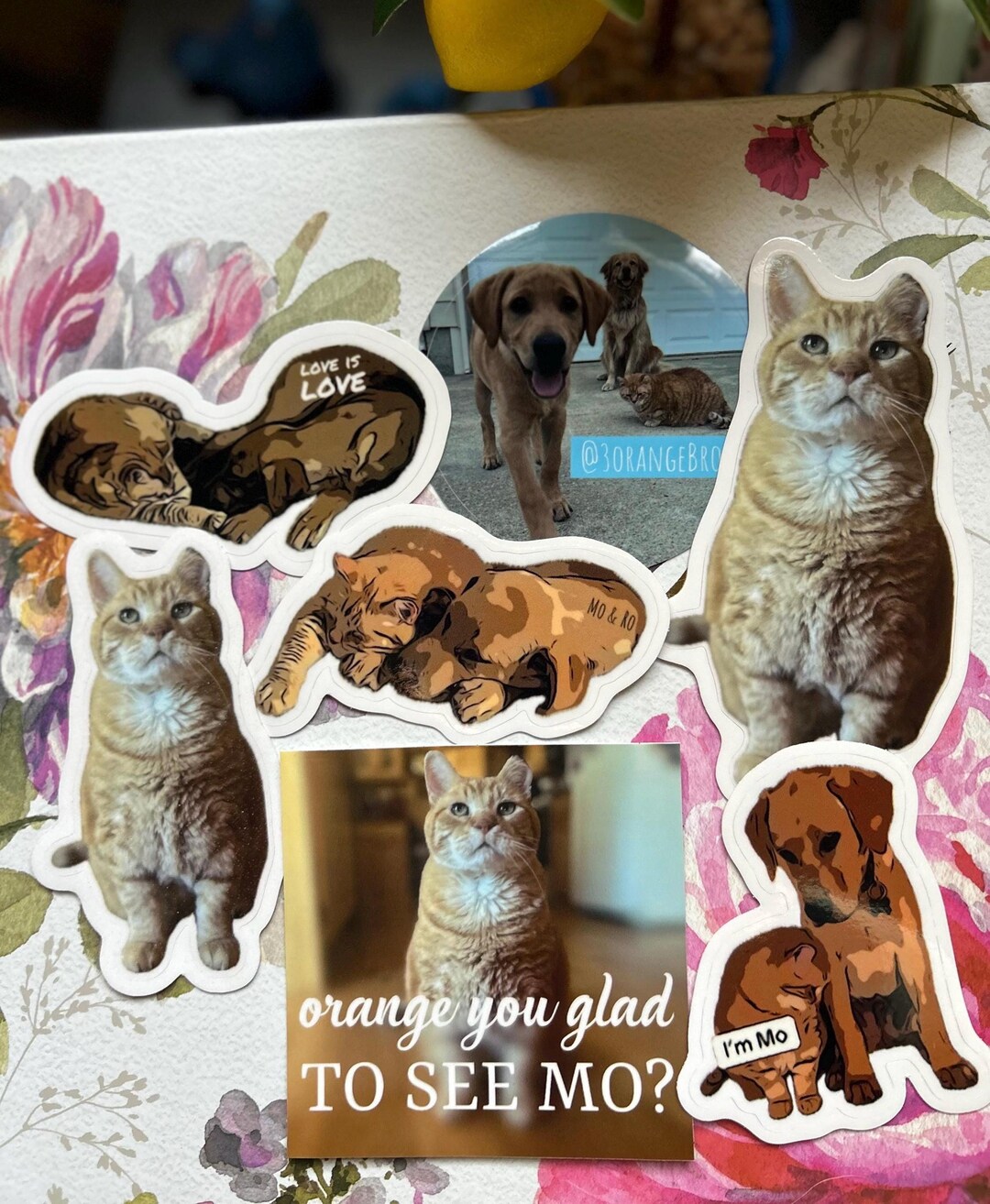 Full Mo Sticker Collection (set of 7) - Etsy