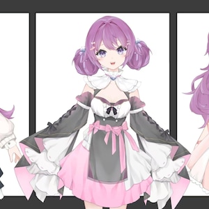 Pink-themed Girl - Live2d Vtuber Model / Commercial Use/ Ready to Use ...