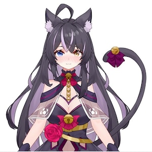 Black Cat Girl Vtuber Model | Full Body Live2d Design for Streamers ...