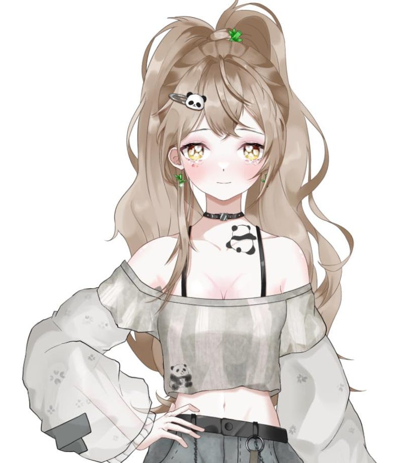 Cowgirl Vtuber Model | Live2d Full Body Design for Streamers - Etsy