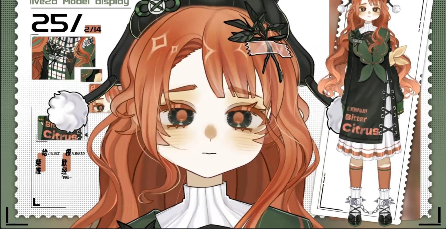 Bitter Citrus Live2d Vtuber Model – Full Body, Vtube Studio Ready - Etsy