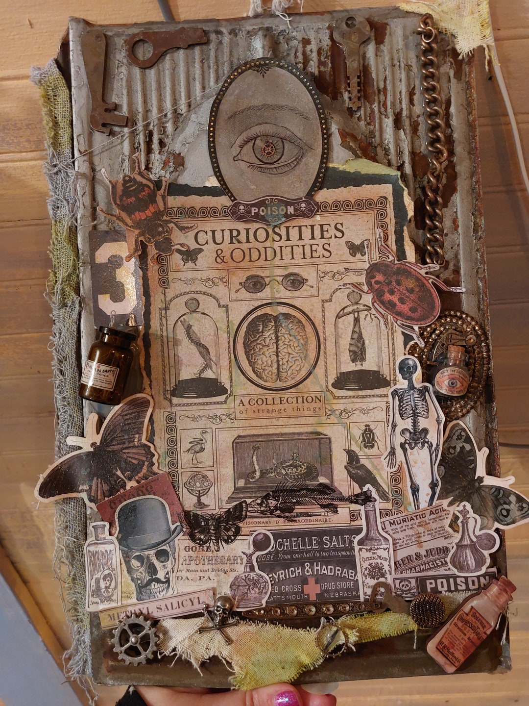 Curiosities and Oddities Mixed Media Art Piece - Etsy