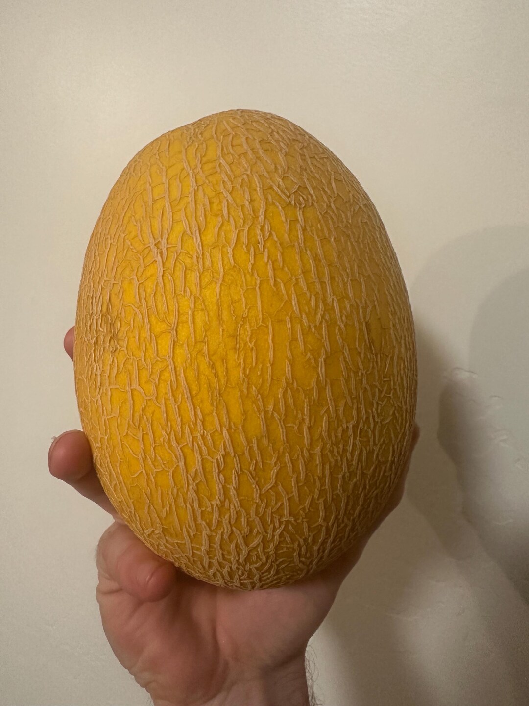 Hami Musk Melon Seeds 20x - Etsy