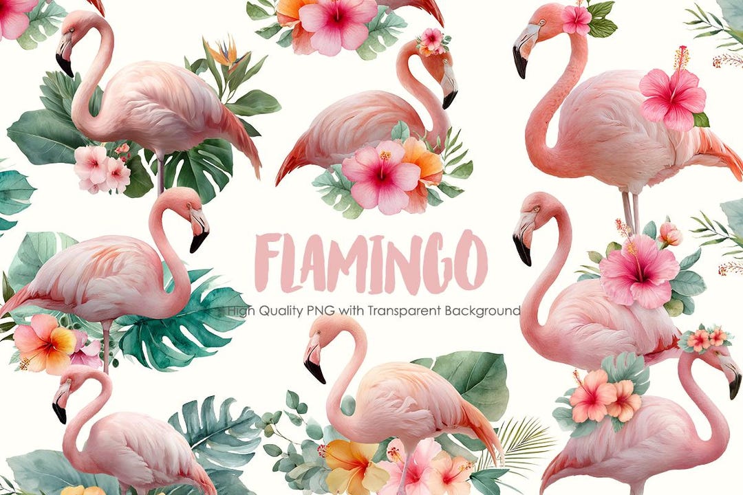 Flamingo Clipart PNG Bundle | Tropical Watercolor Flamingos With ...