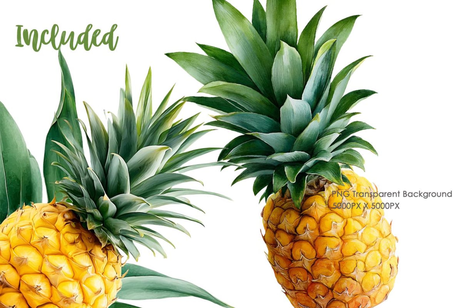 Pineapple Clipart PNG Bundle | Tropical Watercolor Pineapples With ...