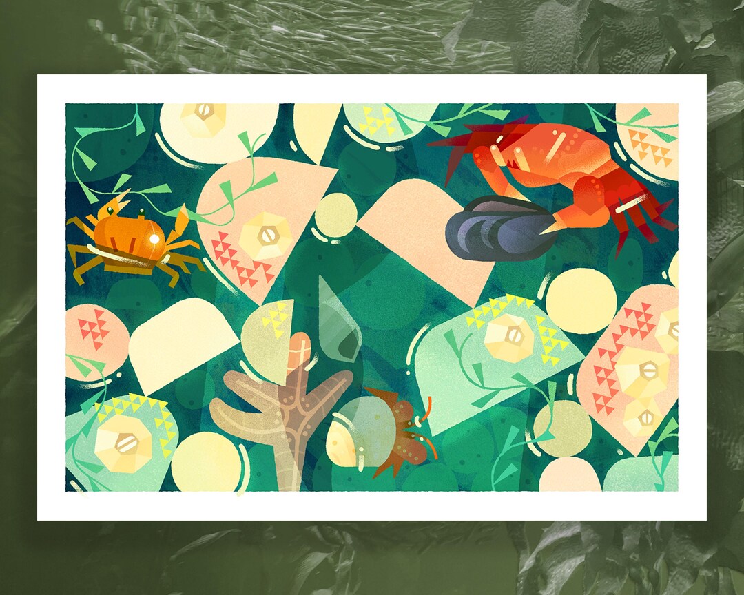 Geometric Crab Tide Poolart Print With Hermit Crabs — Art by Jonathan ...