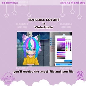 Cute Pastel Cat Vtuber Live2d Model / Premade / Customizable Vtuber ...