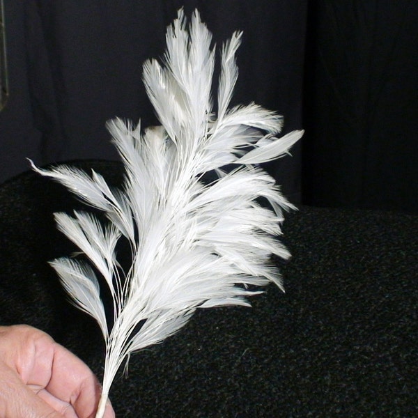 Feather Spray - Etsy