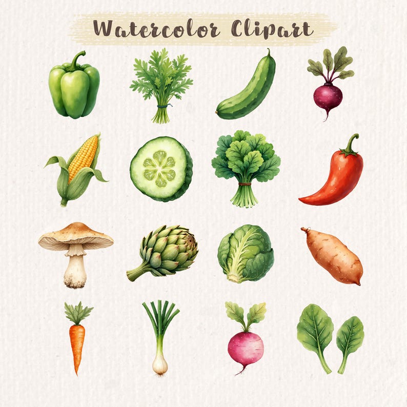 Watercolor Vegetables Clipart Bundle, Veggies Clipart, Digital Download ...