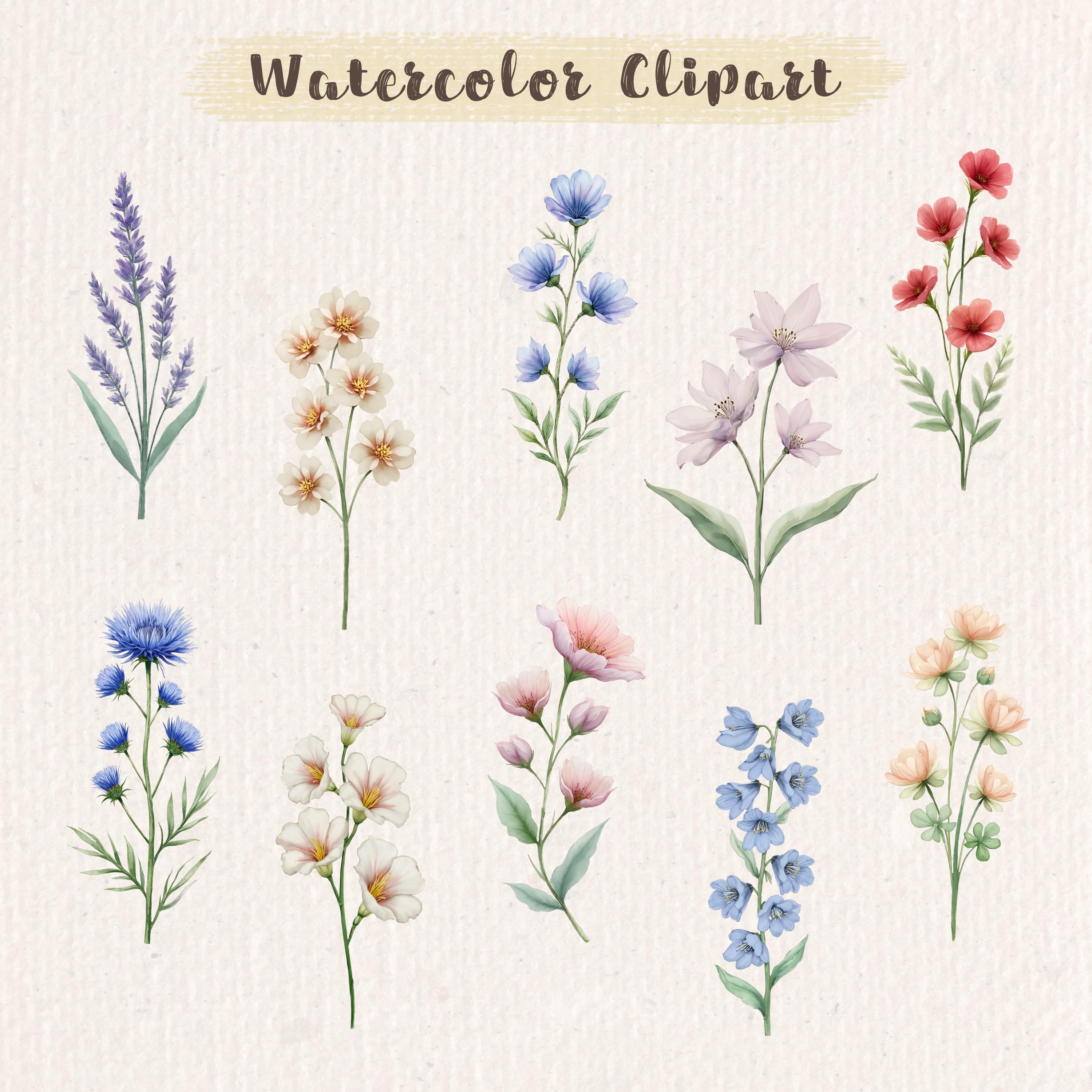 Watercolor Wildflower Clipart Bundle, Floral Clipart, Wildflower ...