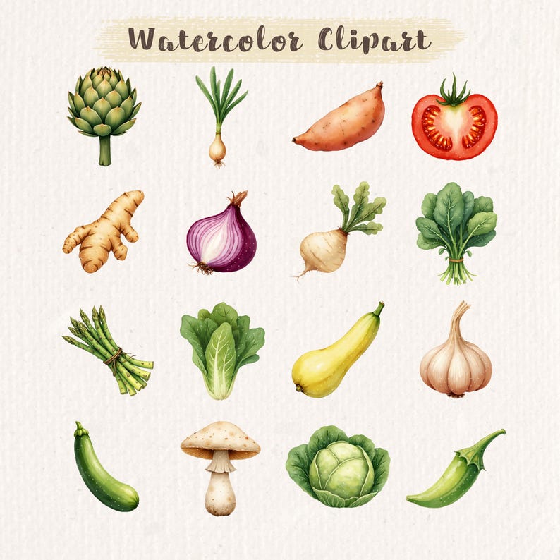 Watercolor Vegetables Clipart Bundle, Veggies Clipart, Digital Download ...
