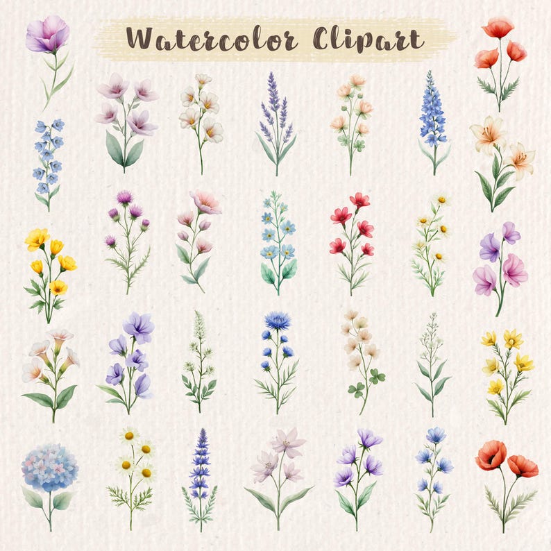 Watercolor Wildflower Clipart Bundle, Floral Clipart, Wildflower ...