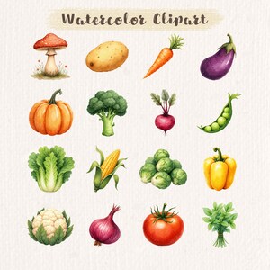 Watercolor Vegetables Clipart Bundle, Veggies Clipart, Digital Download ...