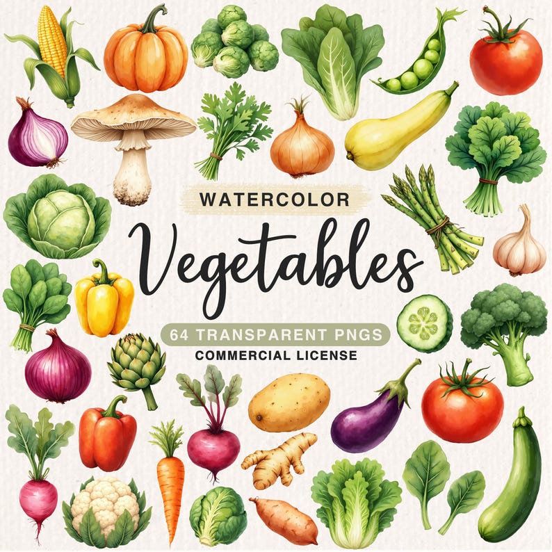 Watercolor Vegetables Clipart Bundle, Veggies Clipart, Digital Download, PNG Graphics, Printable ...