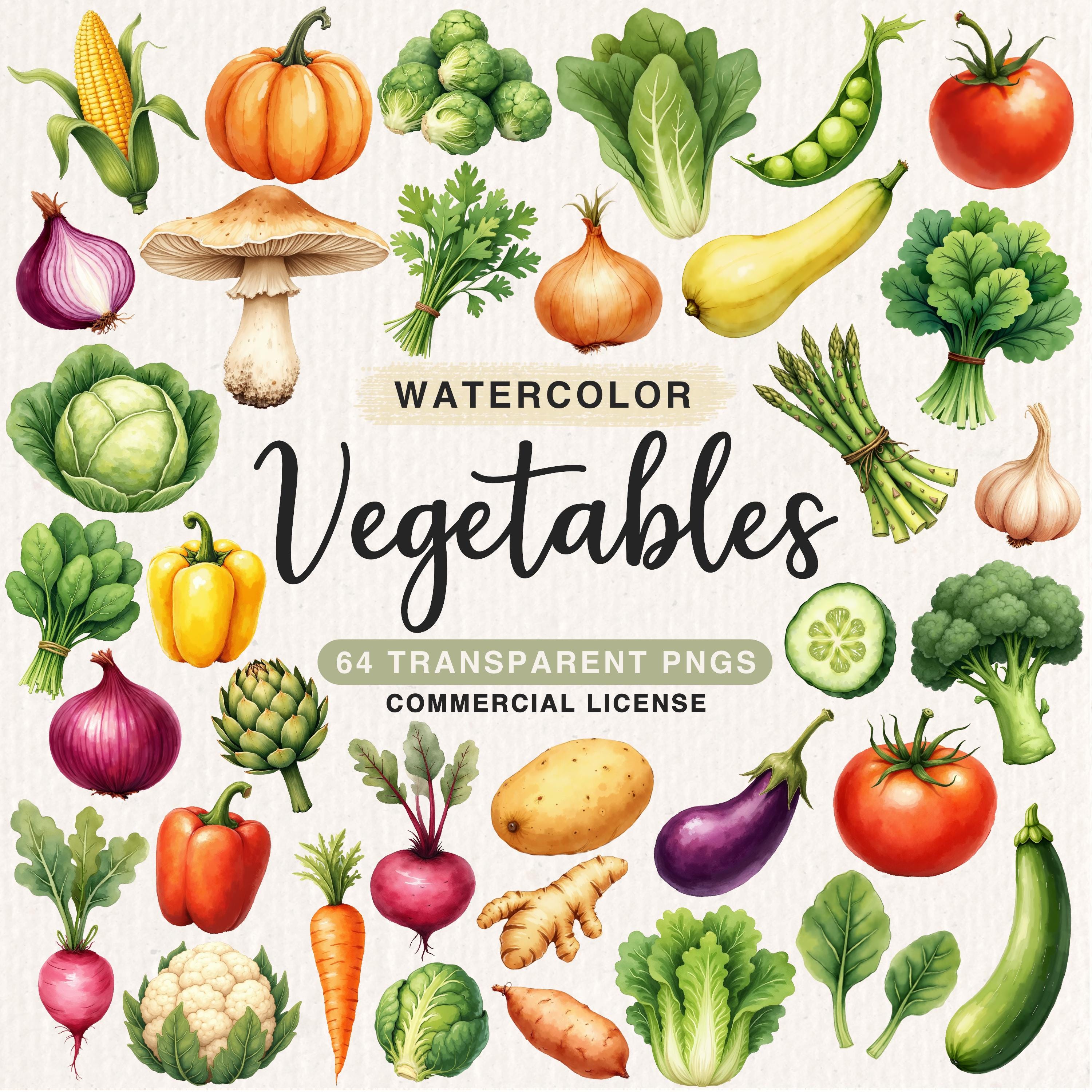 Watercolor Vegetables Clipart Bundle, Veggies Clipart, Digital Download ...