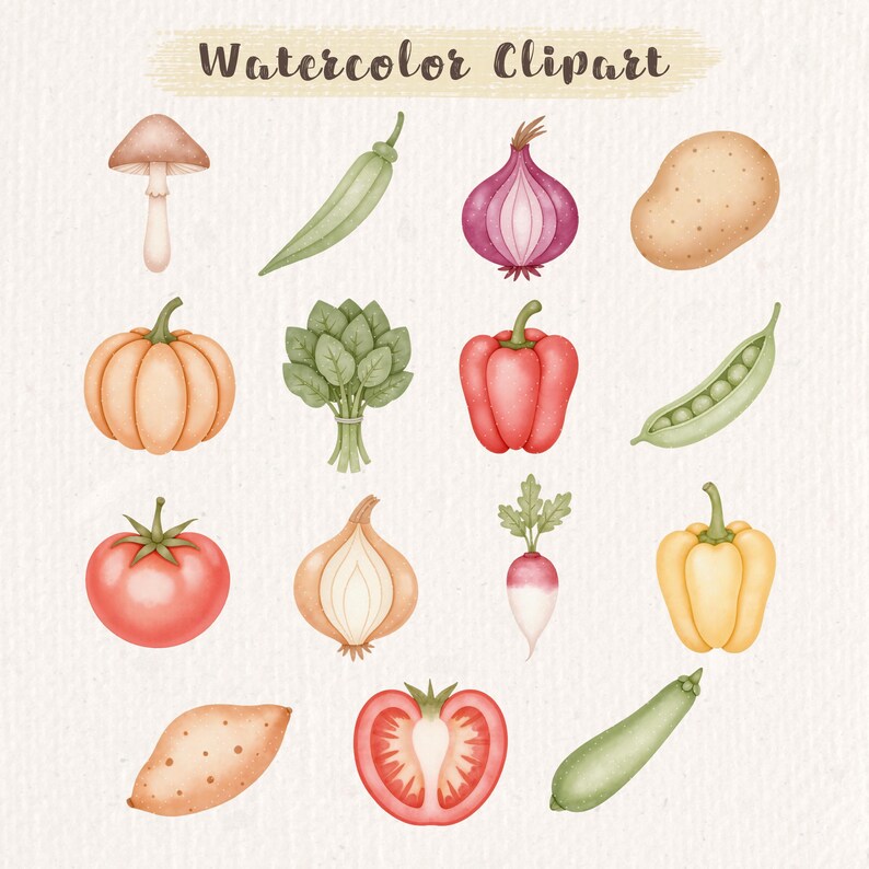 Watercolor Vegetables Clipart Bundle, Cute Veggies Clipart, Digital ...