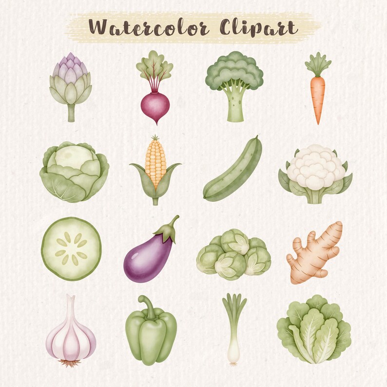 Watercolor Vegetables Clipart Bundle, Cute Veggies Clipart, Digital ...