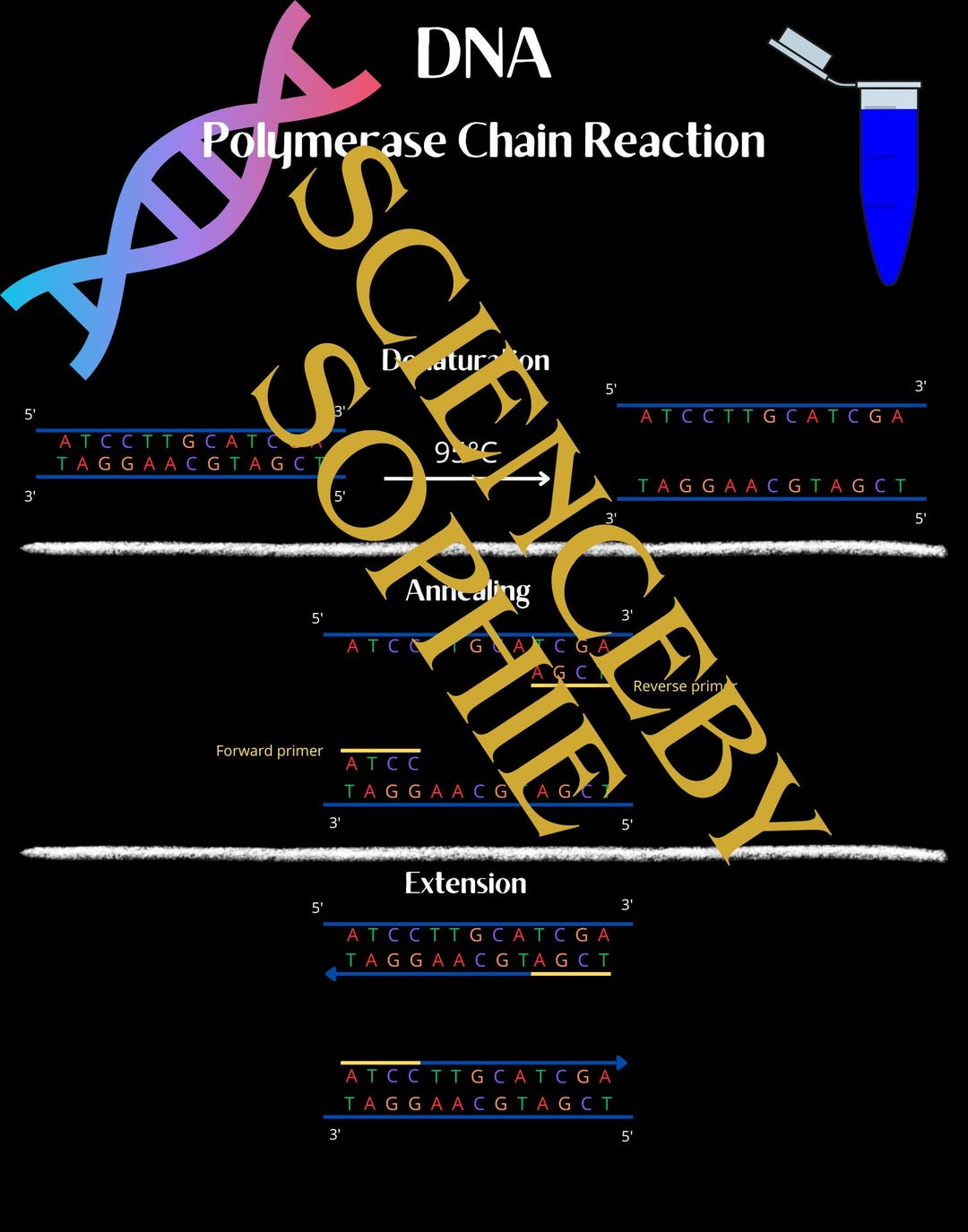 DNA Polymerase Chain Reaction Poster - Etsy