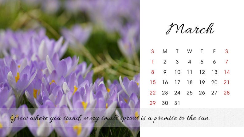 Calendrier 2026 de citations inspirantes - 12 dictons mensuels ...