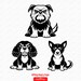 100 Angry Sitting Dogs Linocut Collection - Unique Dog Illustrations ...