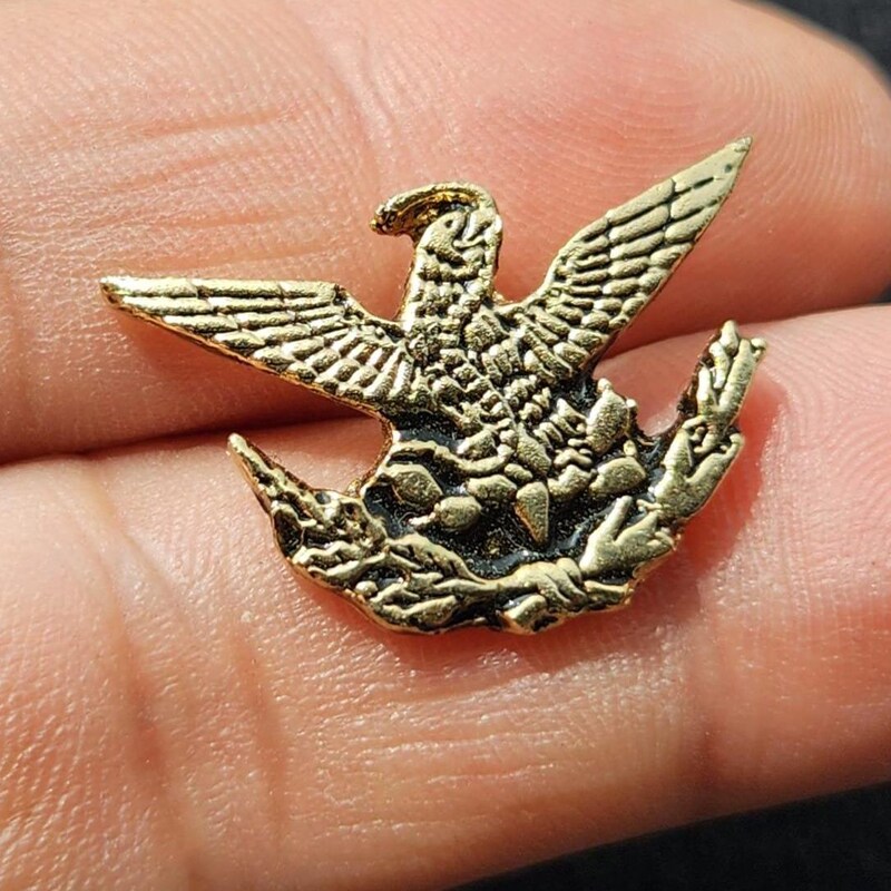 Antique Eagle Pin - Etsy