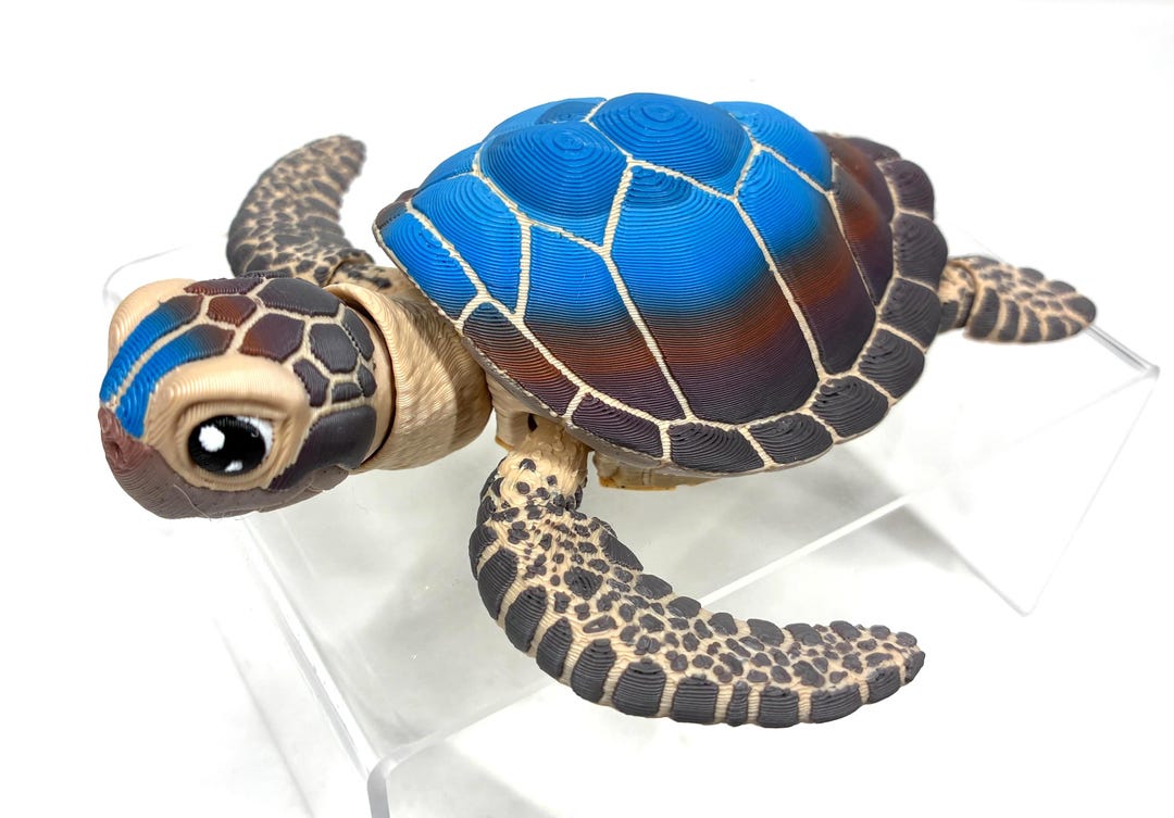 Tubular Sea Turtle *radical Diamondback* Loggerhead - Etsy