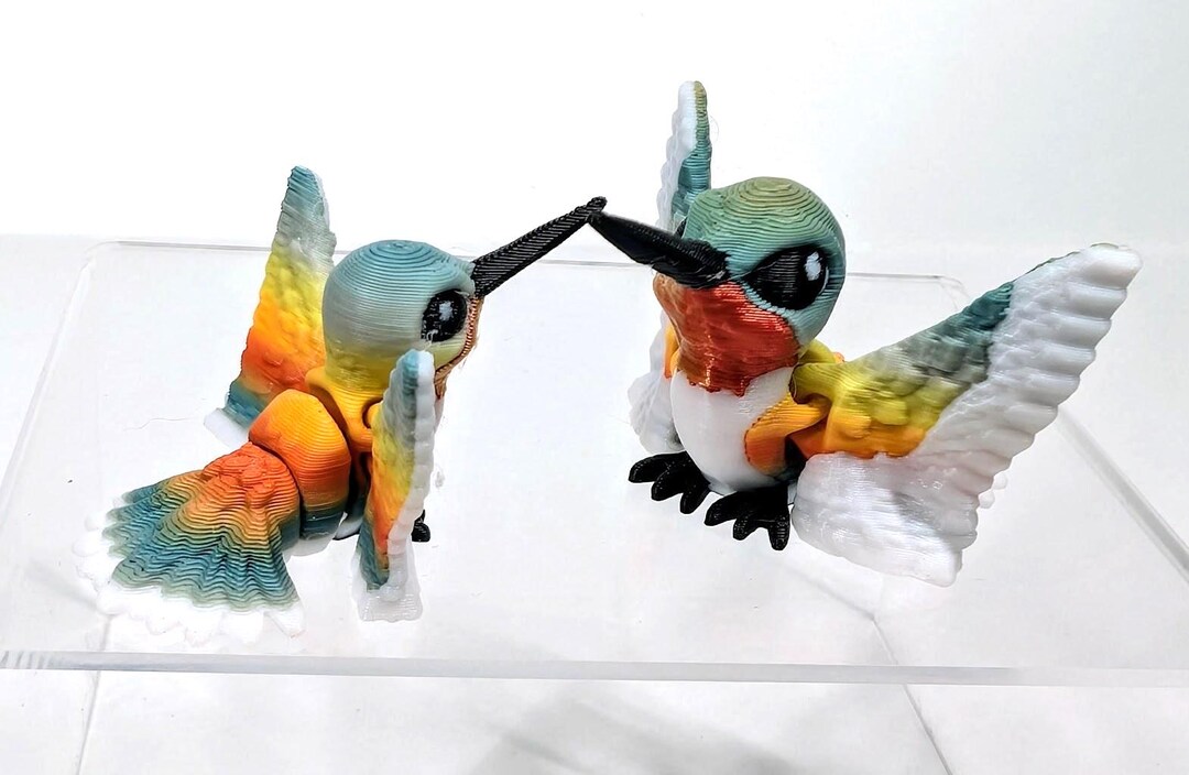 Hummingbird W/little Hummer Baby *retro VHS* - Etsy