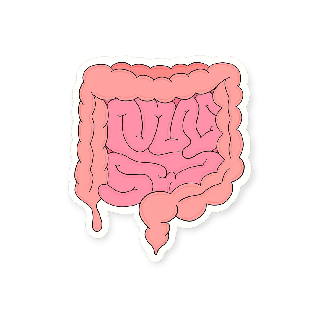 Intestine Vinyl Sticker -unique Artwork, Water-resistant, 4 Sizes & 5 ...