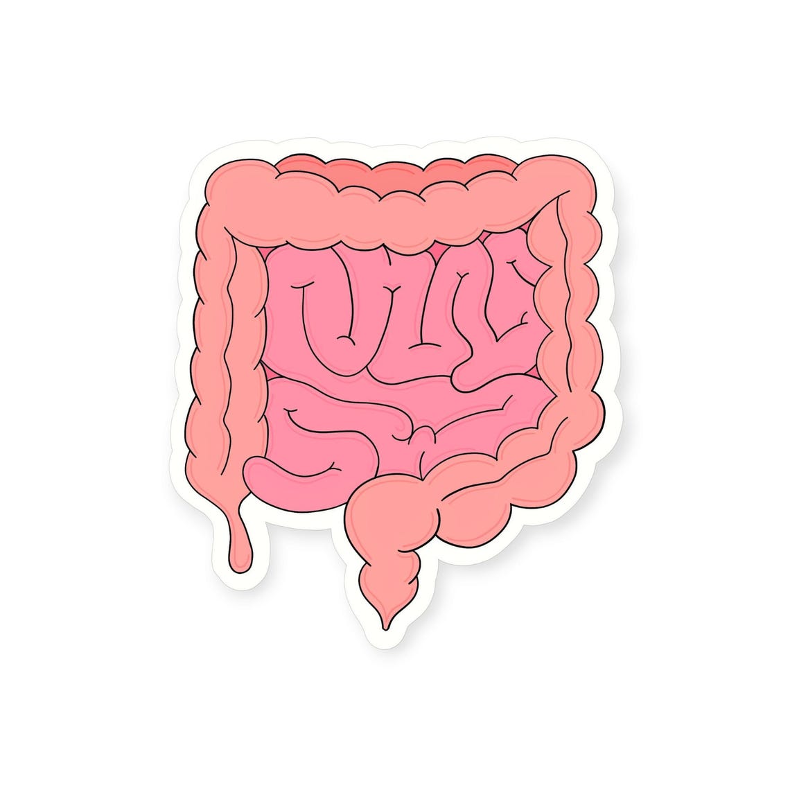 Intestine Vinyl Sticker -unique Artwork, Water-resistant, 4 Sizes & 5 ...