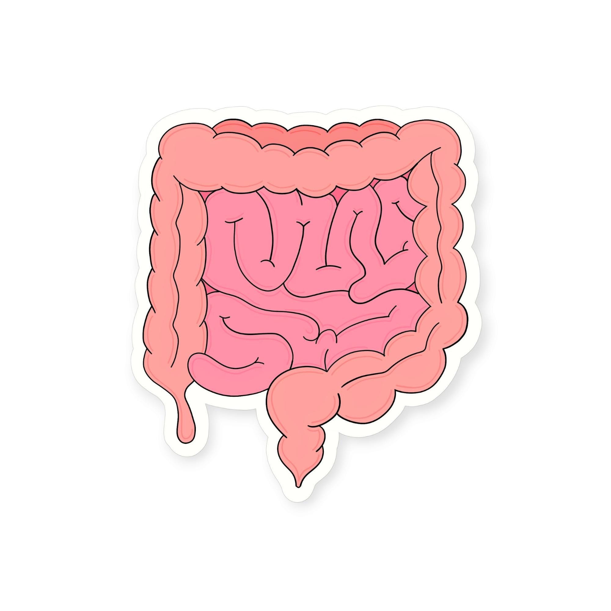 Intestine Vinyl Sticker -unique Artwork, Water-resistant, 4 Sizes & 5 ...