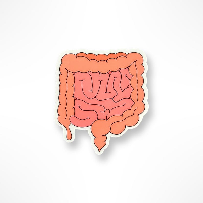Intestine Vinyl Sticker unique Artwork, Water-resistant, 3 Sizes & 5 ...