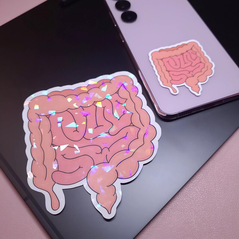 Intestine Vinyl Sticker -unique Artwork, Water-resistant, 4 Sizes & 5 ...