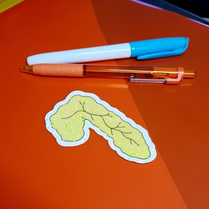 Pancreas Vinyl Sticker -unique Artwork, Water-resistant, 4 Sizes & 5 ...