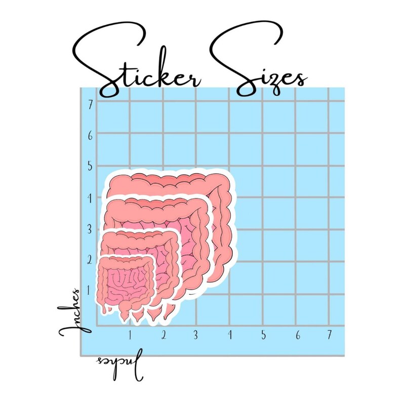 Intestine Vinyl Sticker -unique Artwork, Water-resistant, 4 Sizes & 5 ...
