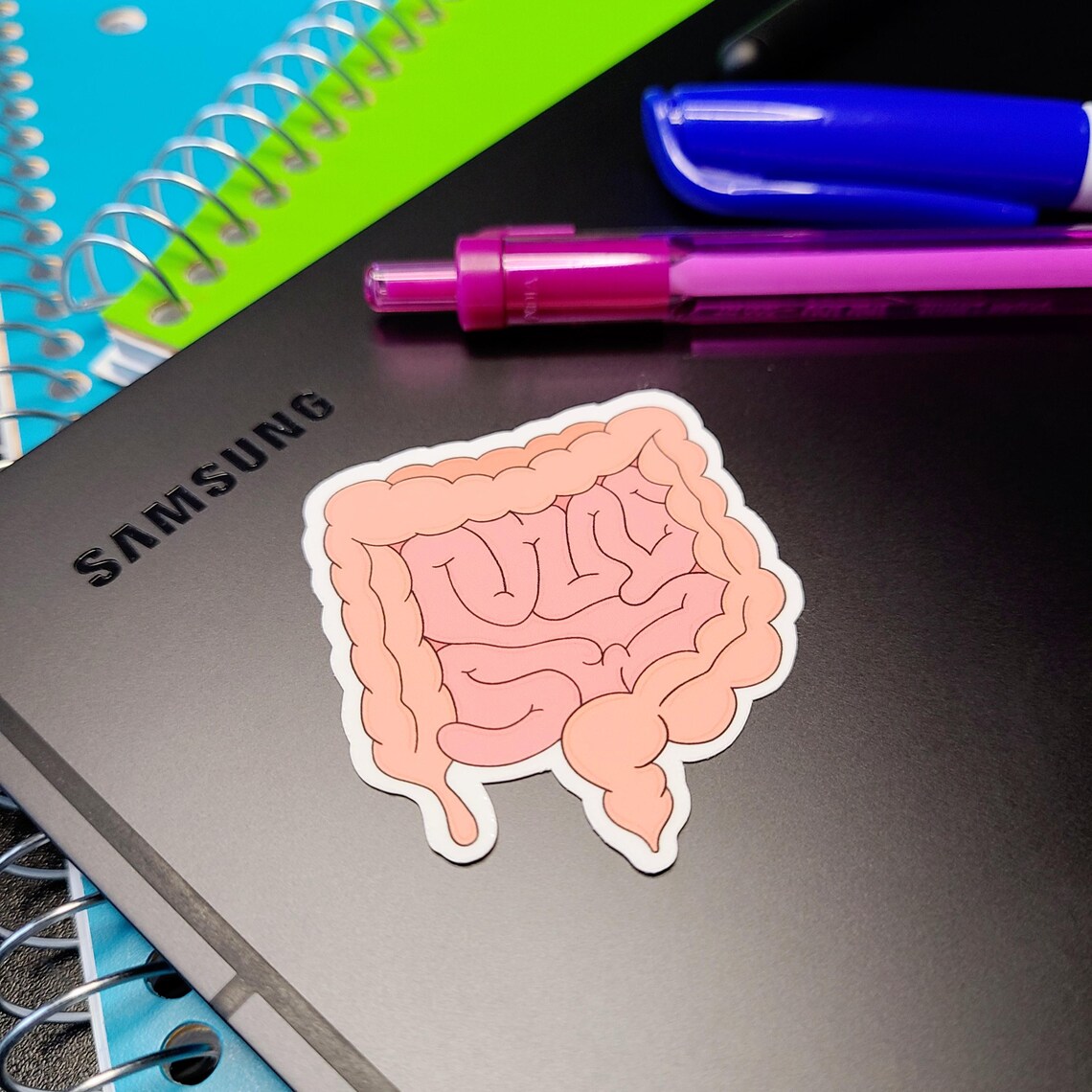 Intestine Vinyl Sticker -unique Artwork, Water-resistant, 4 Sizes & 5 ...