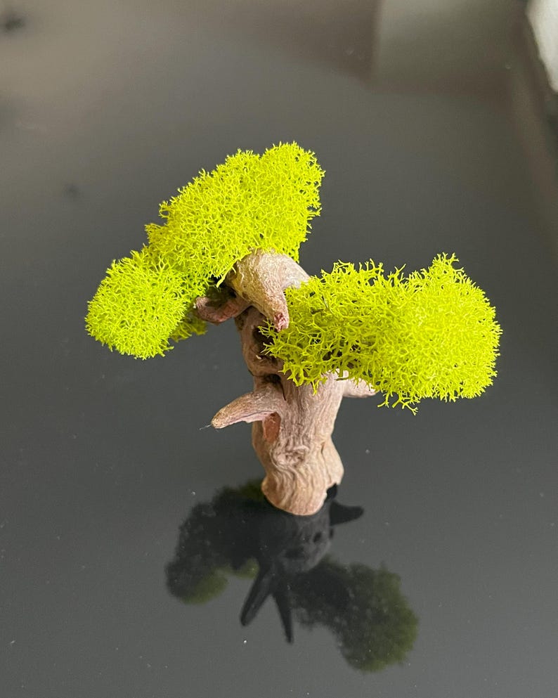 Mini Moss Tree With Natural Driftwood - Etsy