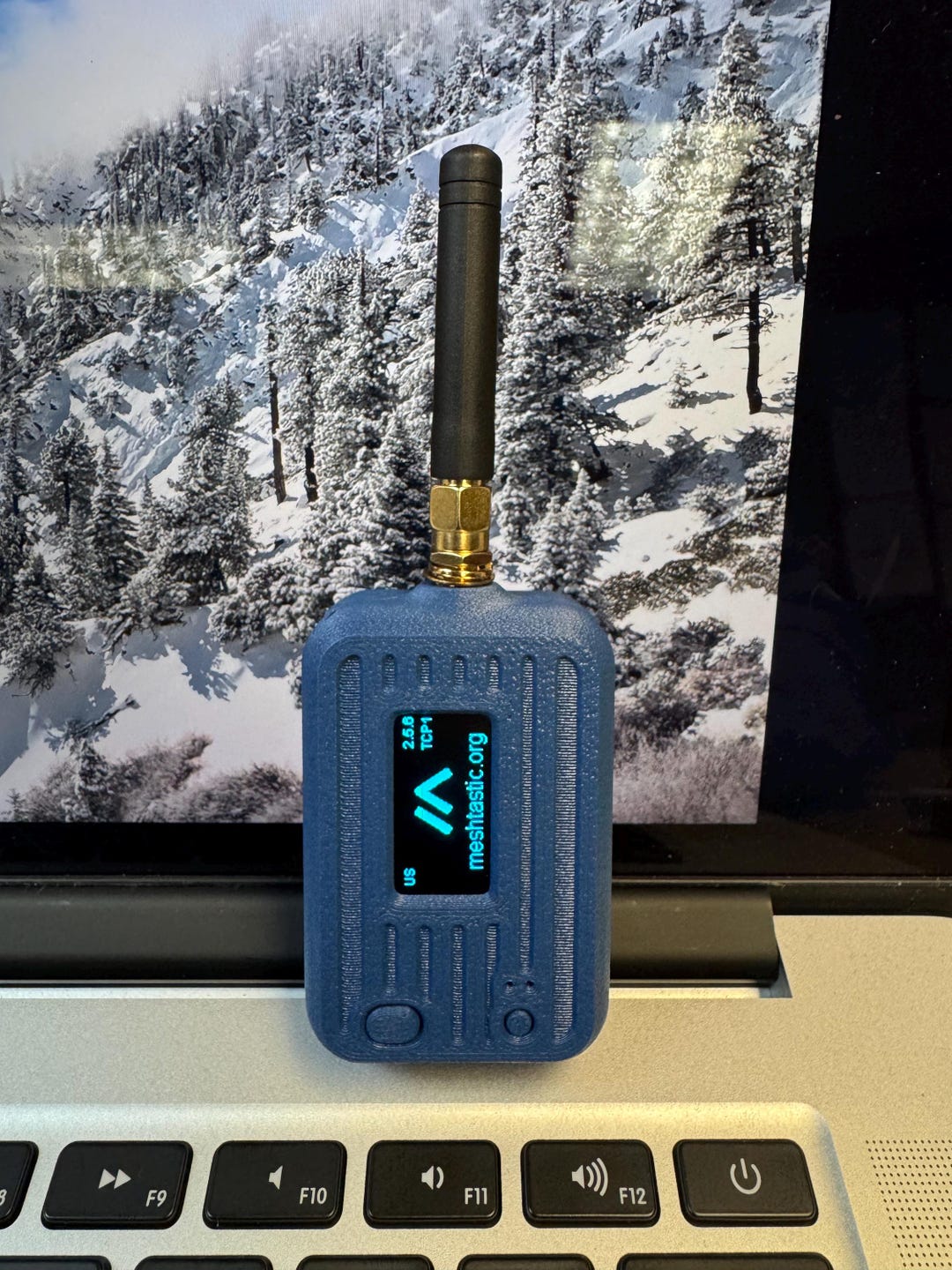 Limited Run of Carbon Fiber Infused Heltec V3 Cases - Etsy