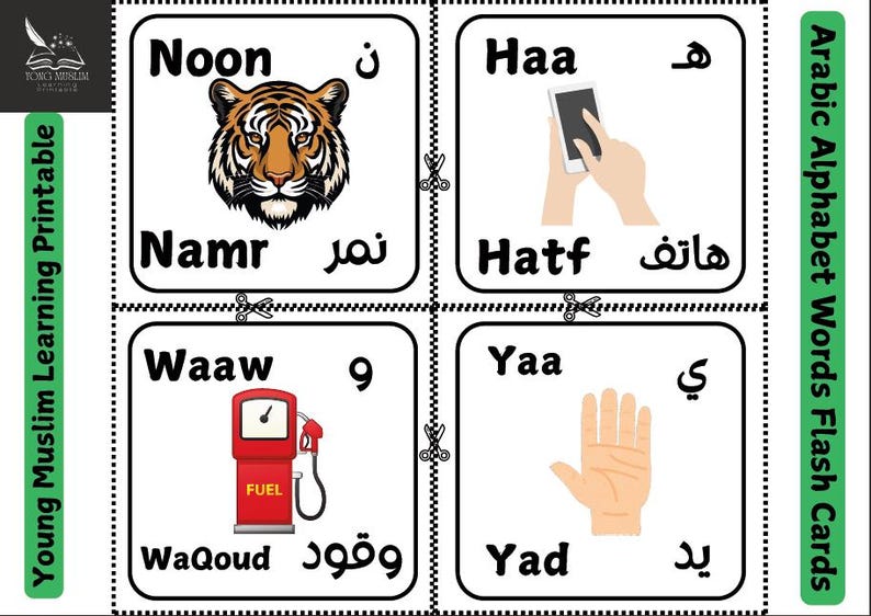 Arabic Alphabet Flashcards: Bilingual Learning for Kids (digital ...