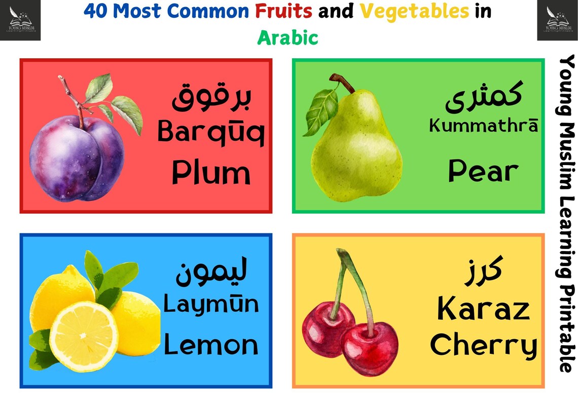 Arabic Fruits & Vegetables Flashcards: Bilingual Learning Tool (digital ...