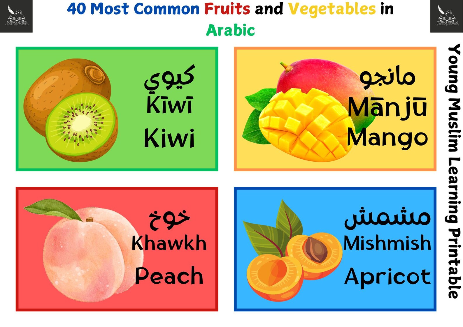 Arabic Fruits & Vegetables Flashcards: Bilingual Learning Tool (digital ...