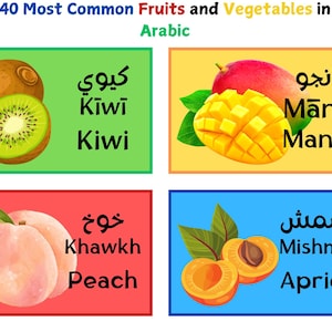 Arabic Fruits & Vegetables Flashcards: Bilingual Learning Tool (digital ...