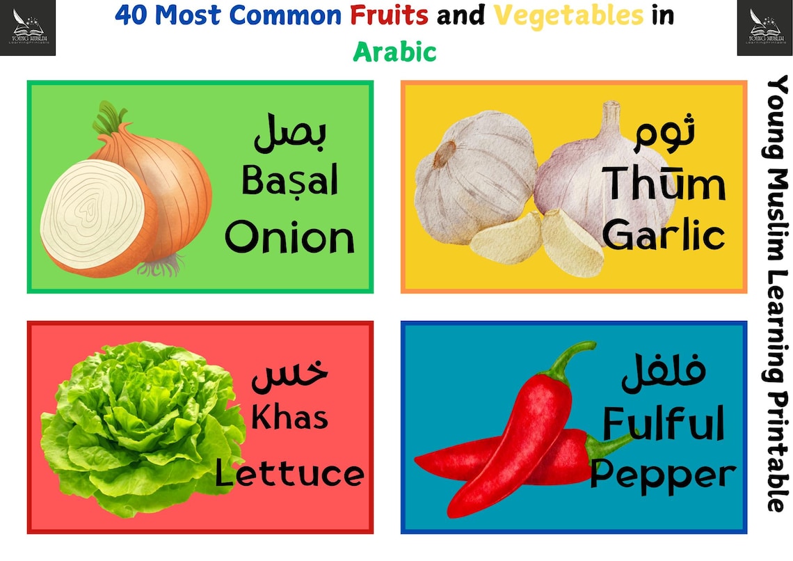 Arabic Fruits & Vegetables Flashcards: Bilingual Learning Tool (digital ...