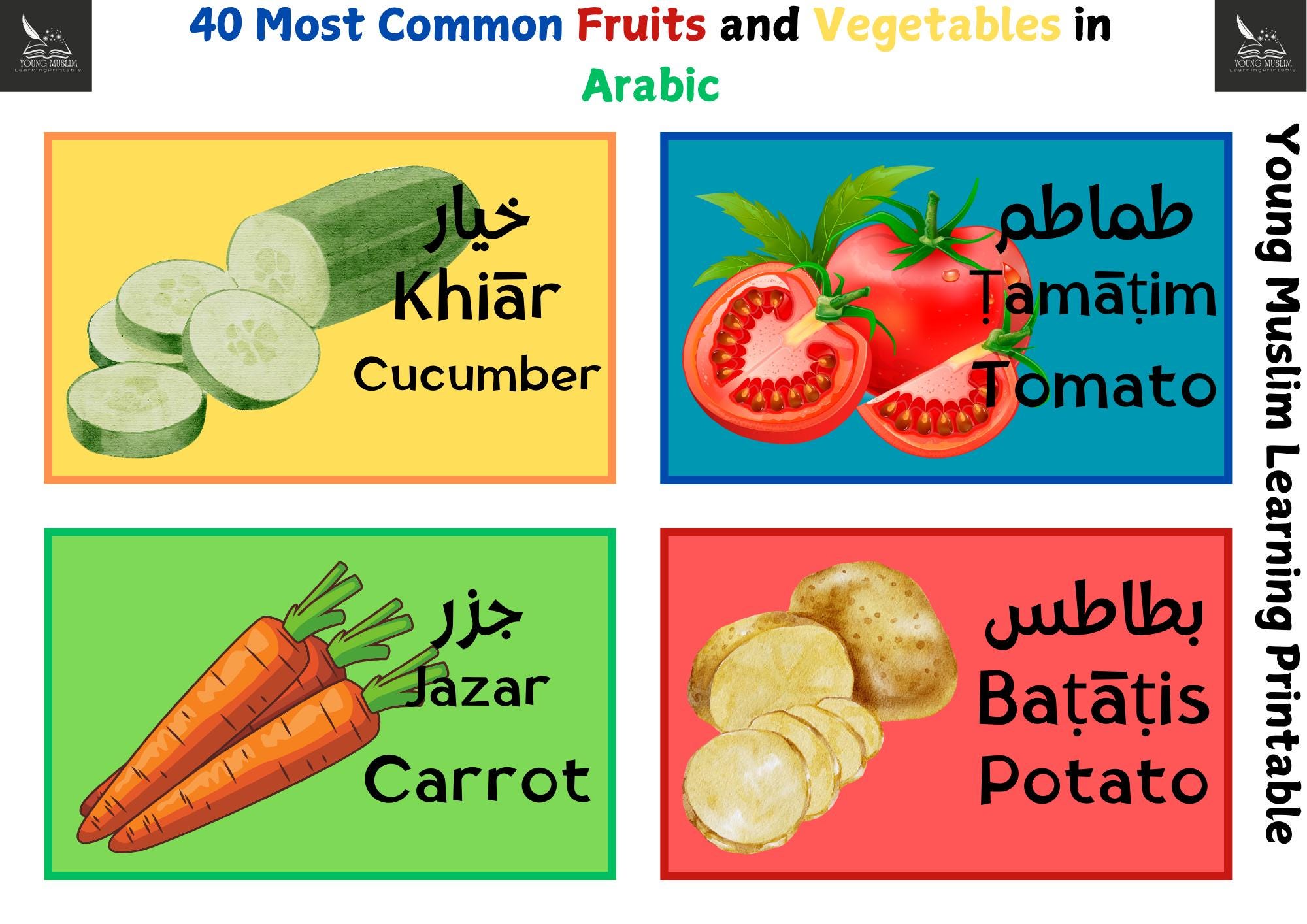 Arabic Fruits & Vegetables Flashcards: Bilingual Learning Tool (digital ...