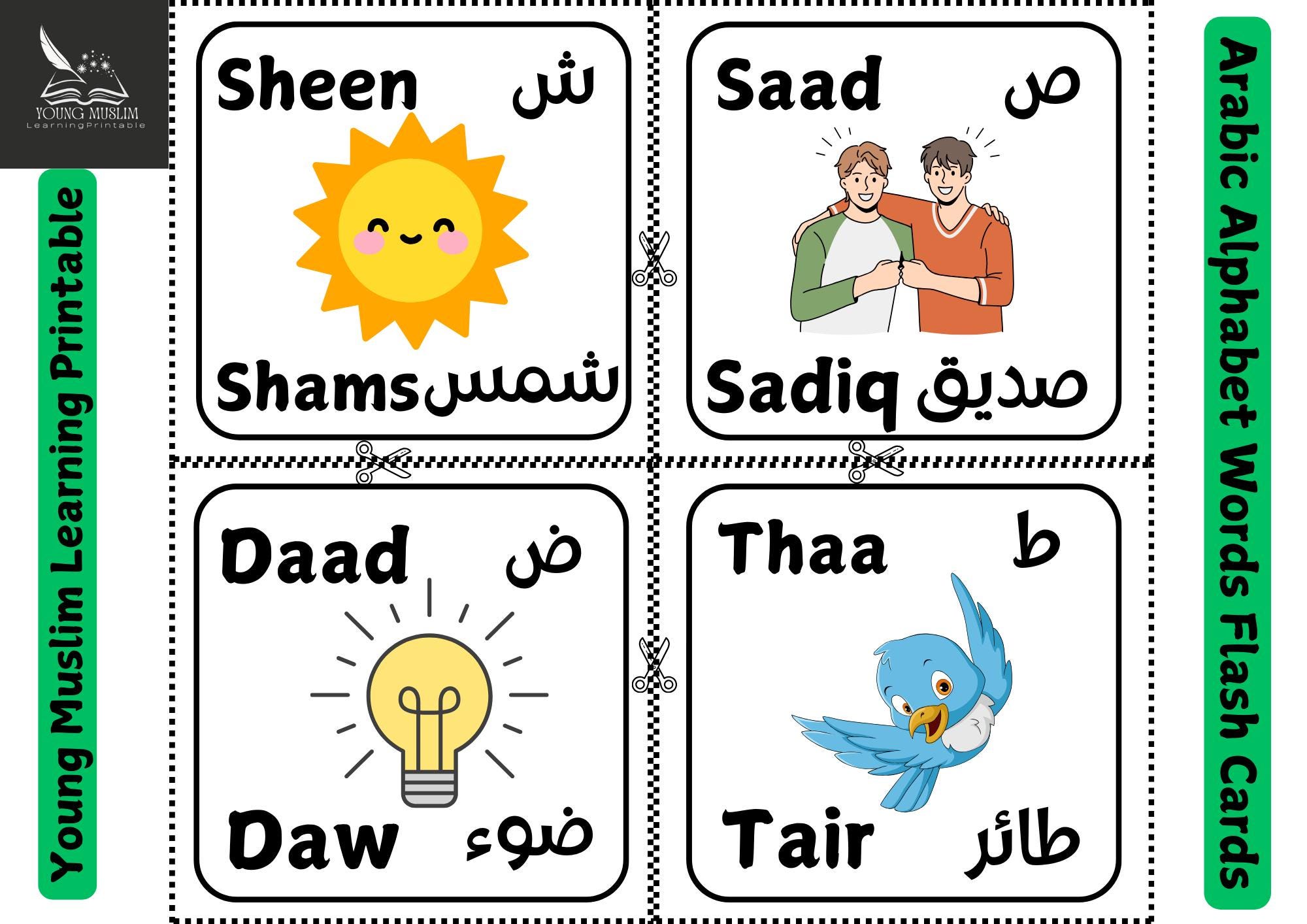 Arabic Alphabet Flashcards: Bilingual Learning for Kids (digital ...