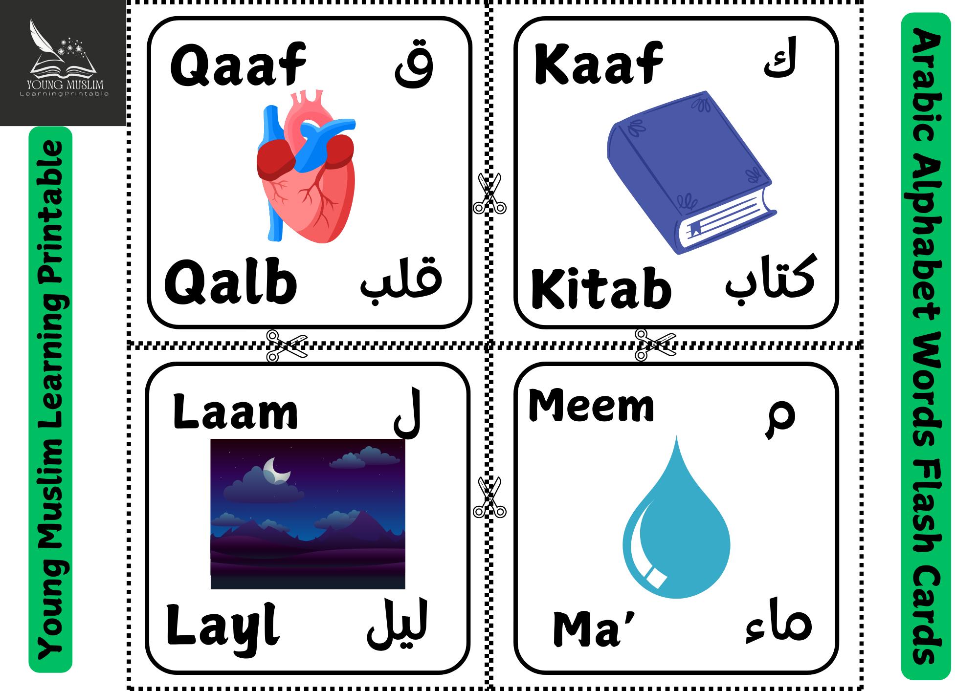 Arabic Alphabet Flashcards: Bilingual Learning for Kids (digital ...