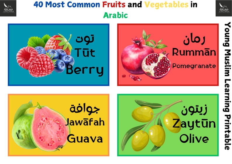 Arabic Fruits & Vegetables Flashcards: Bilingual Learning Tool (digital ...