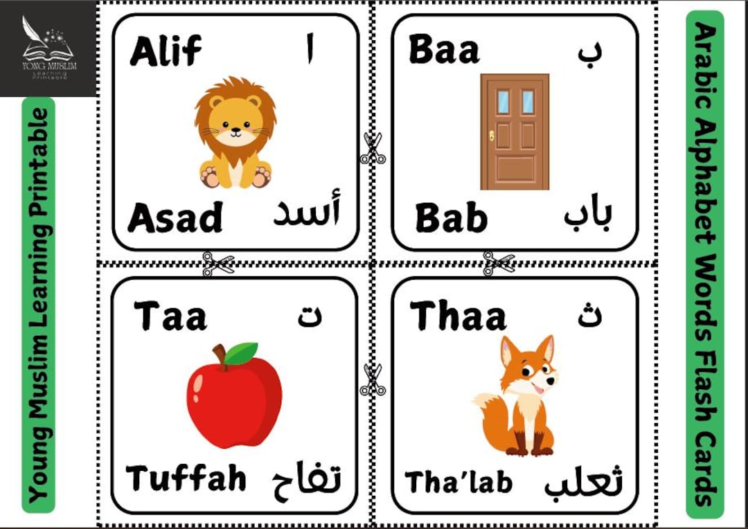 Arabic Alphabet Flashcards: Bilingual Learning for Kids (digital ...