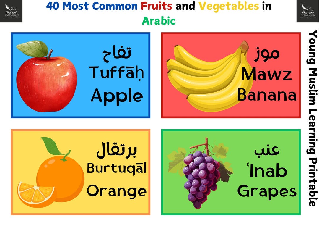 Common Fruits and Vegetables in Arabic Printable Flashcards, Learning ...