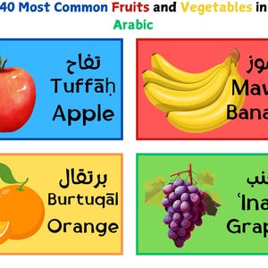 Arabic Fruits & Vegetables Flashcards: Bilingual Learning Tool (digital ...